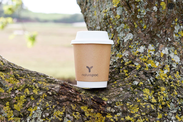 The Best Environmental Packaging Options For Your Business– NaturePac