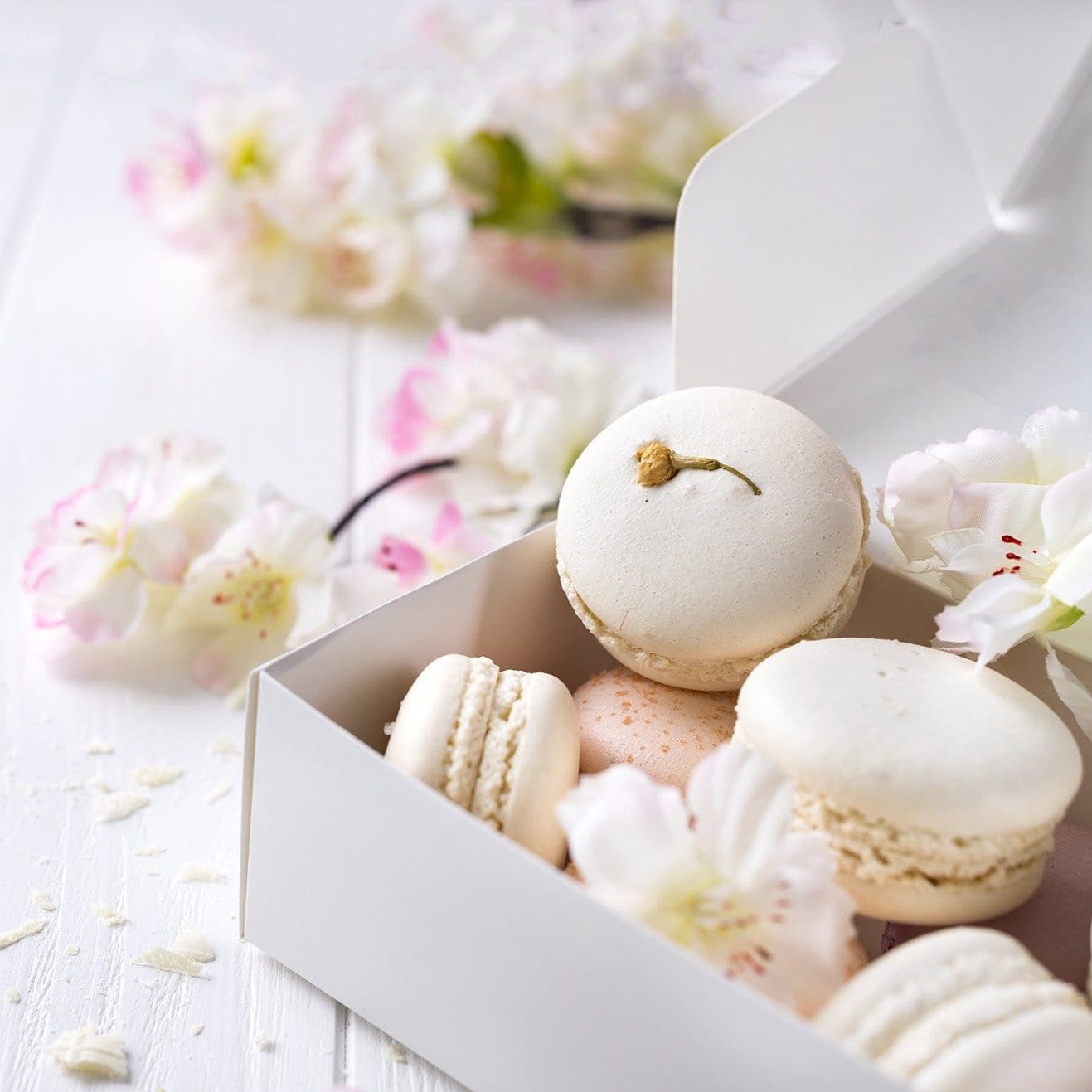 Biodegradable Eco-Friendly Cake Boxes | NaturePac